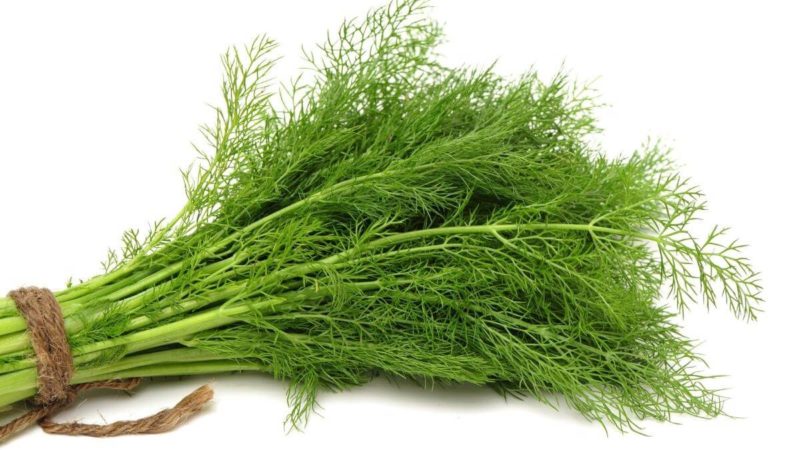 How to Dry Dill: 5 EASY Ways! (Step-by-Step)